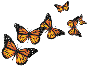 Home [inschalmen17.de]